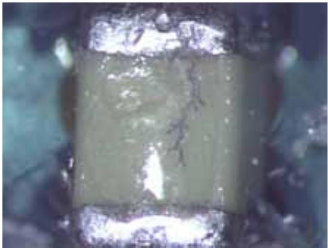 Dendrite grows under conformal coating (courtesy foresite).