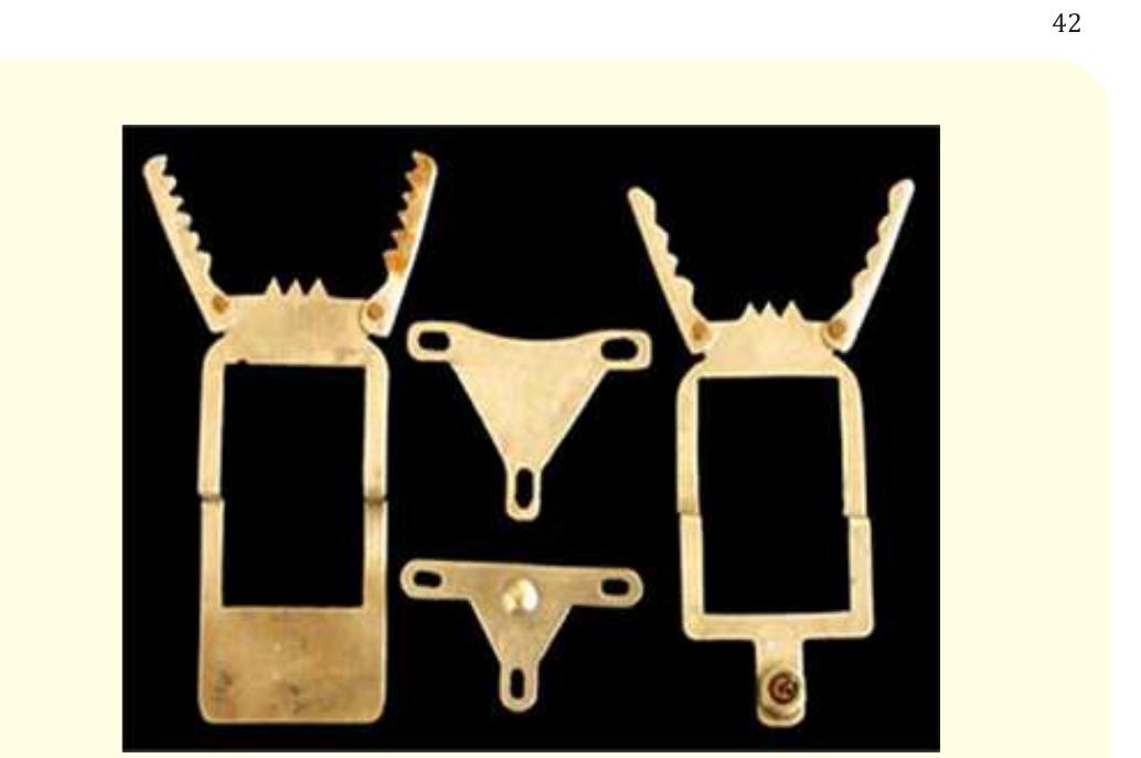 Hight extraoral tracing unit.