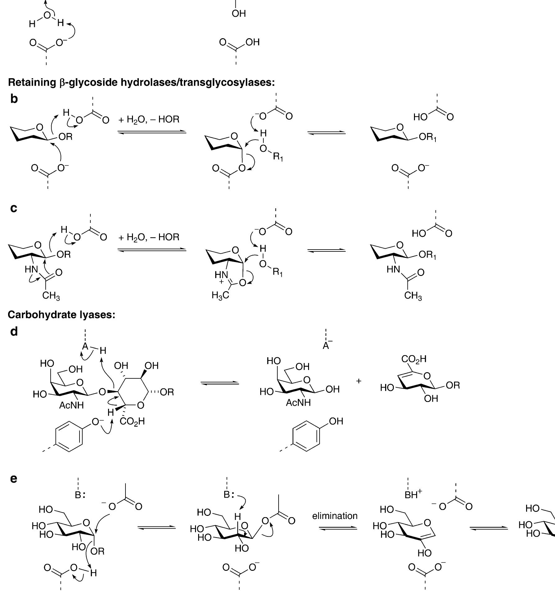 Carbohydrate enzymology, fig. 1 mechanisms of glycoside