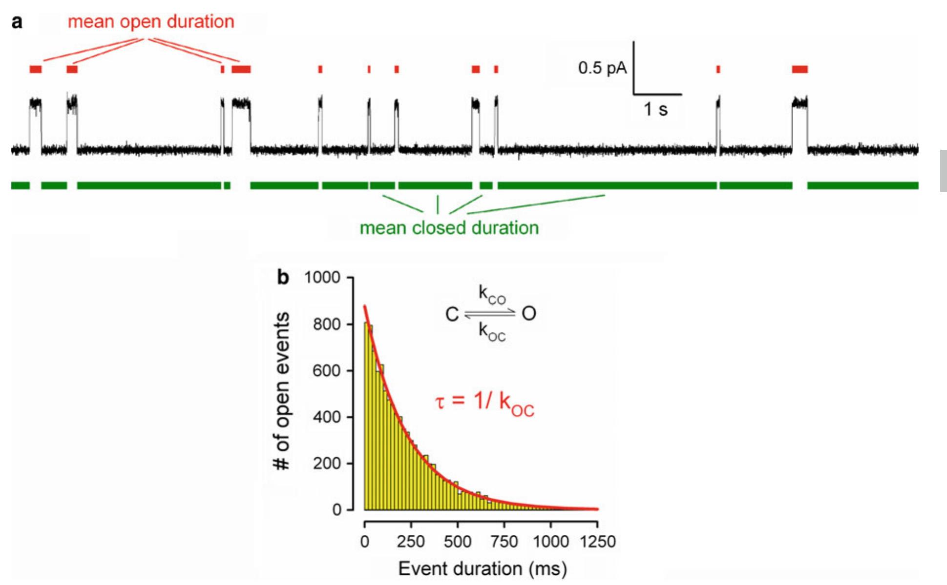 Cftr, an lon channel evolved from abc transporter, fig. 1