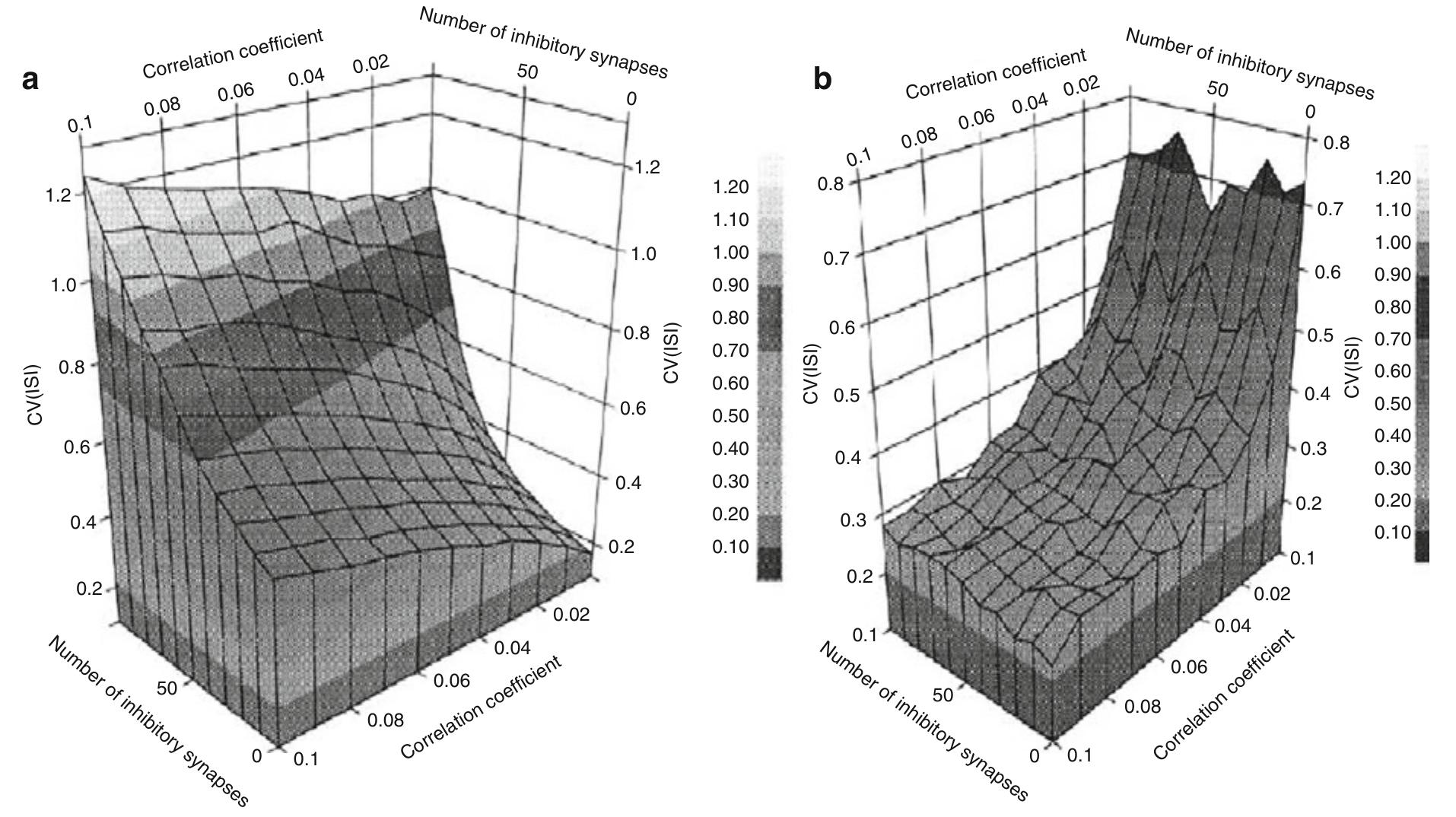 Synapses. (a) is the if model, (b) is for the hh model
