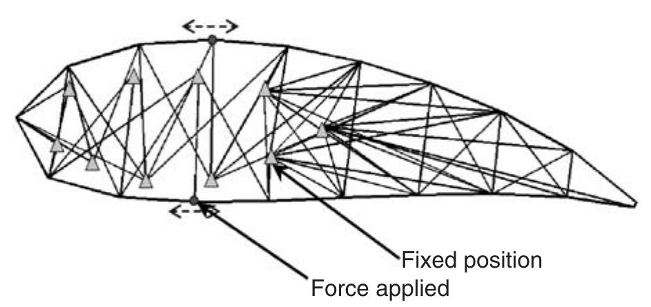 Reference structure showing all possible linkage locations.