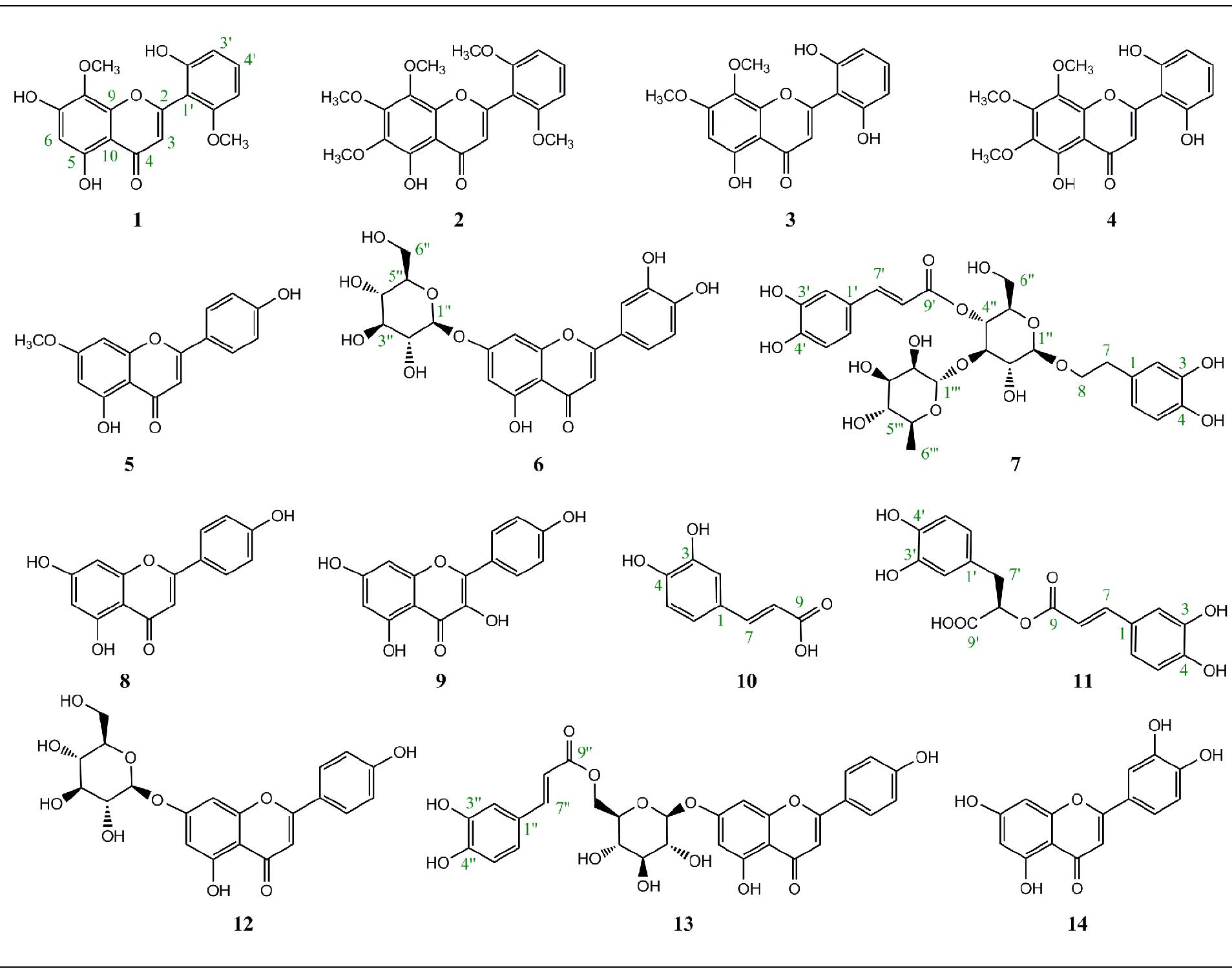 The chemical structures of main compounds isolated from the