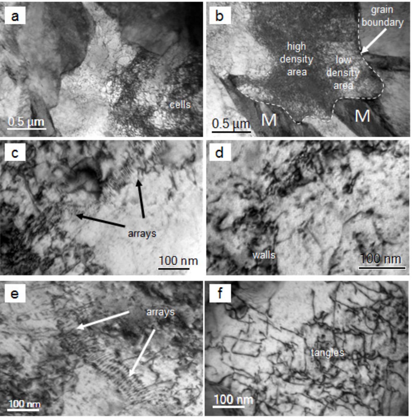 Selected tem images of dislocation structure in monbv-steel