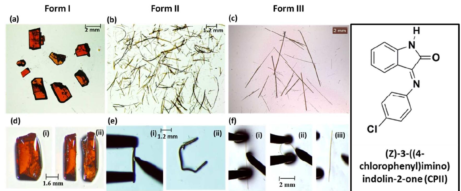 Optical images depicting morphologies of form i (a), form ii