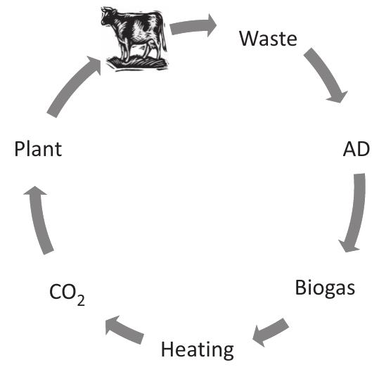 2 carbon-neutral cycle of biogas.