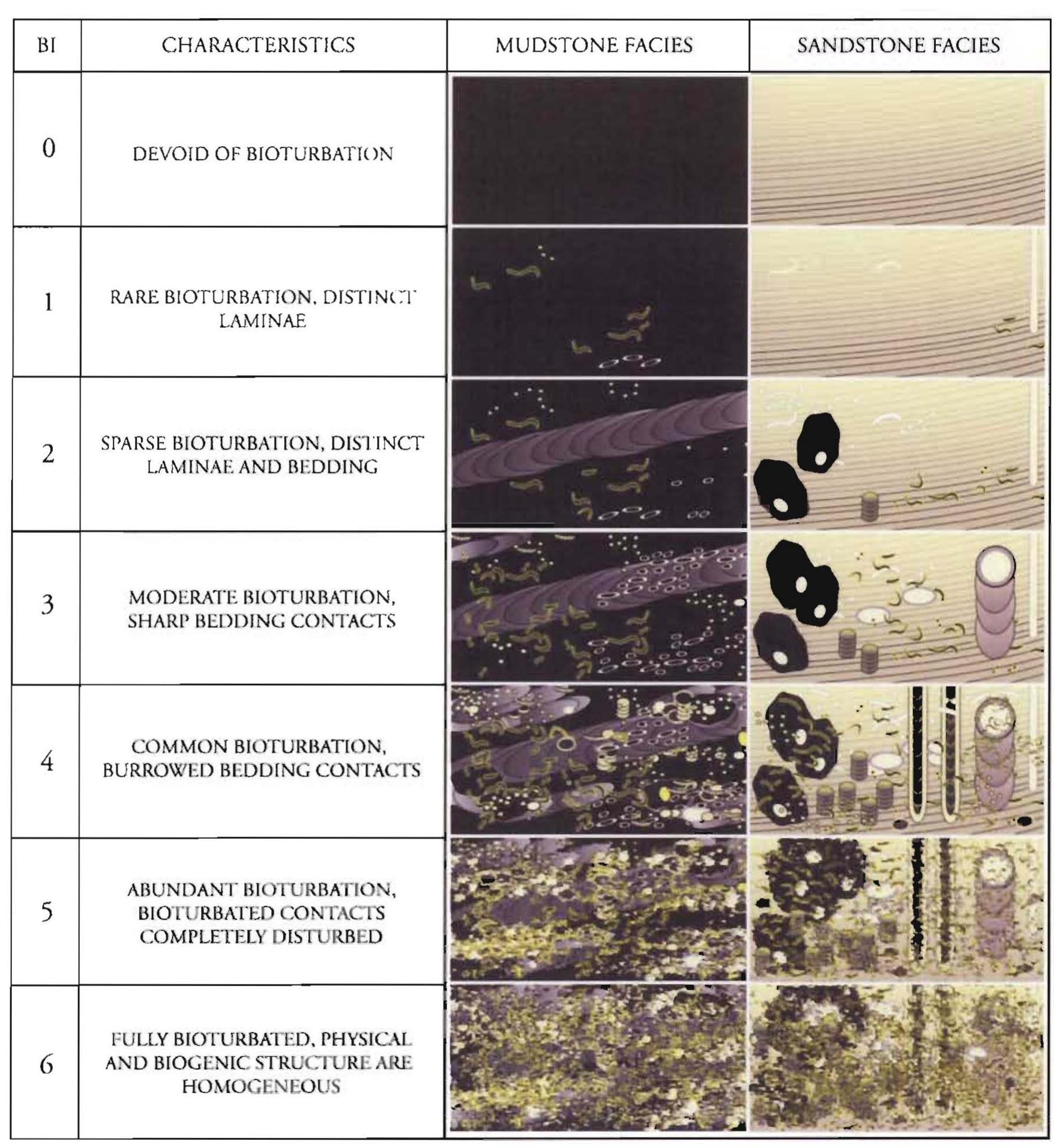 2: a schematic diagram which illustrates the variations
