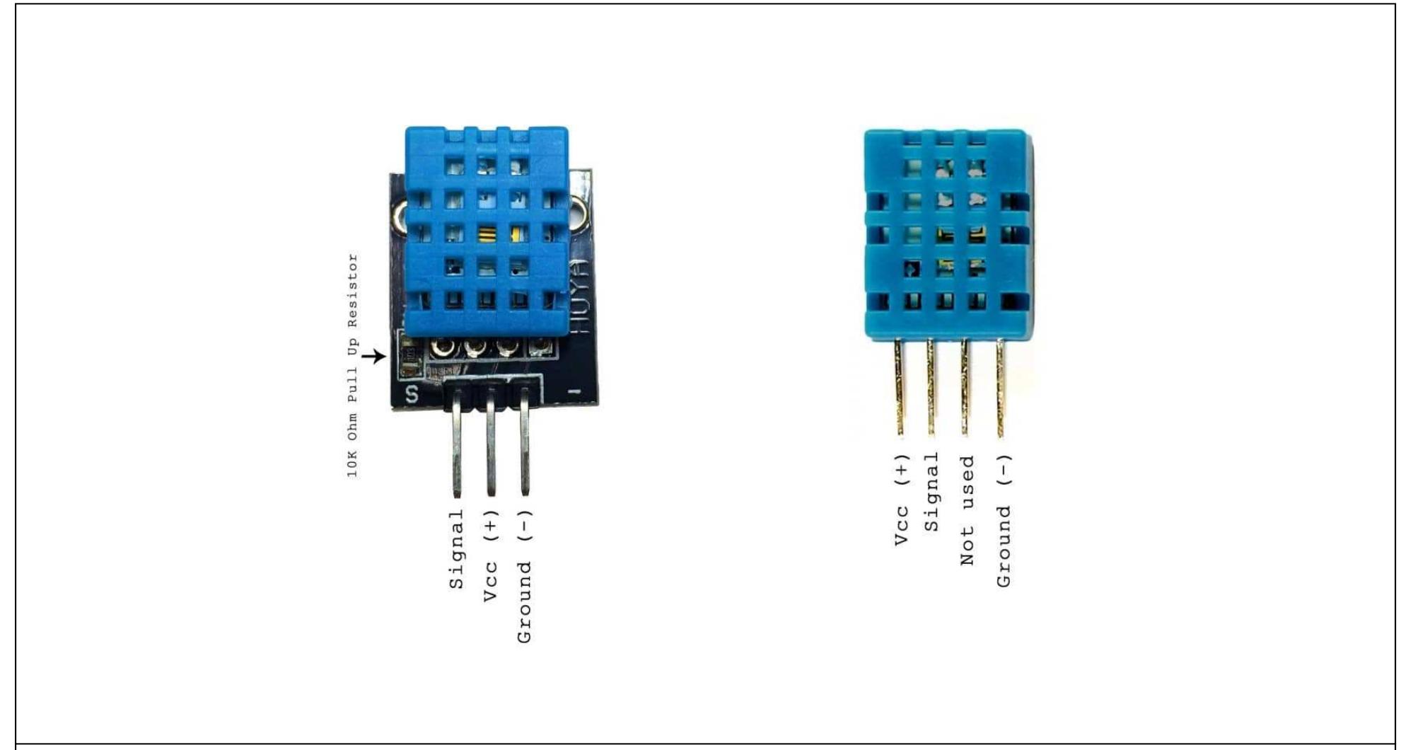 A typical three and four pin dht11 sensor (circuit basics,