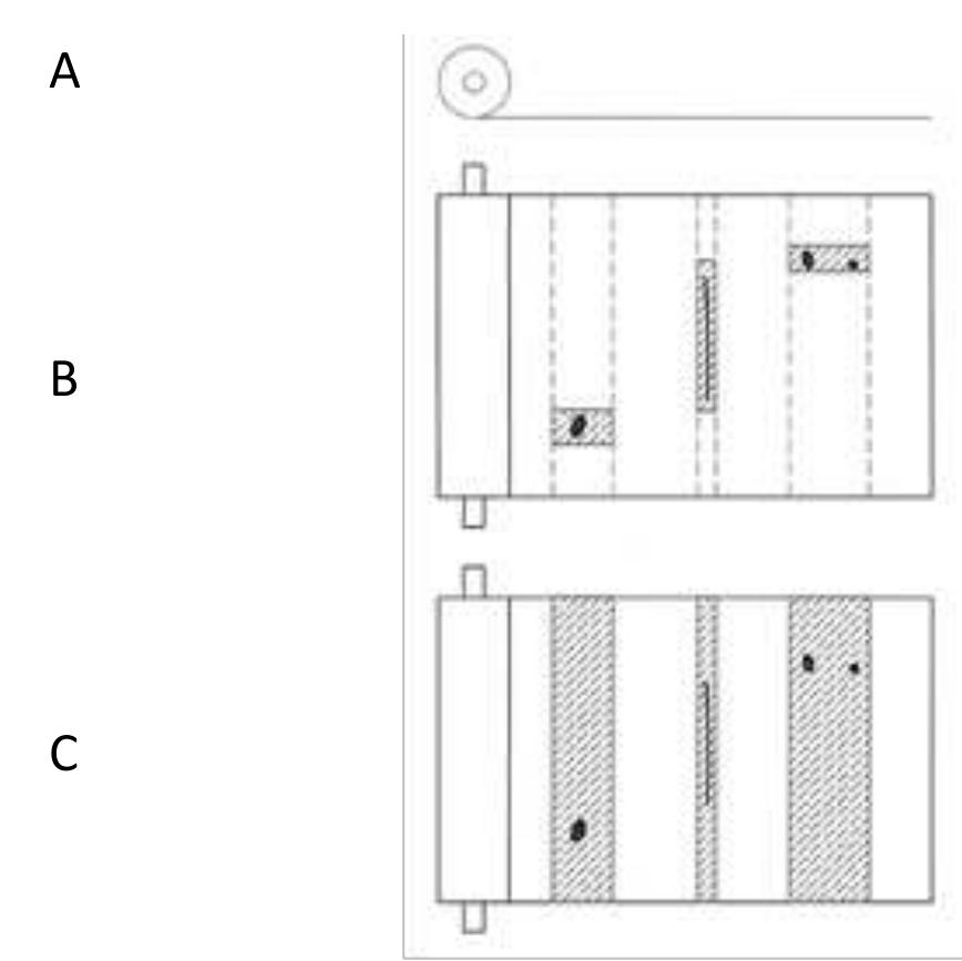 Veneer loss through clipping: a: cross-section of log and