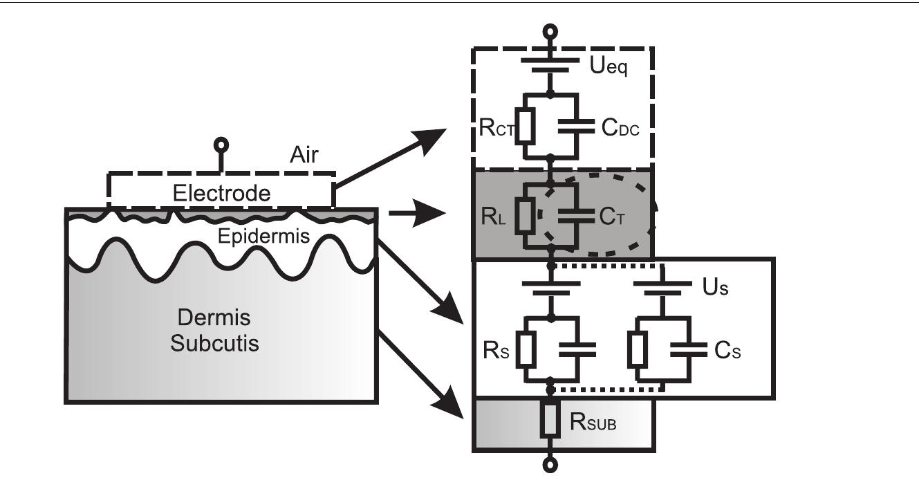 Equivalent circuit of a textile electrode—electrolyte skin