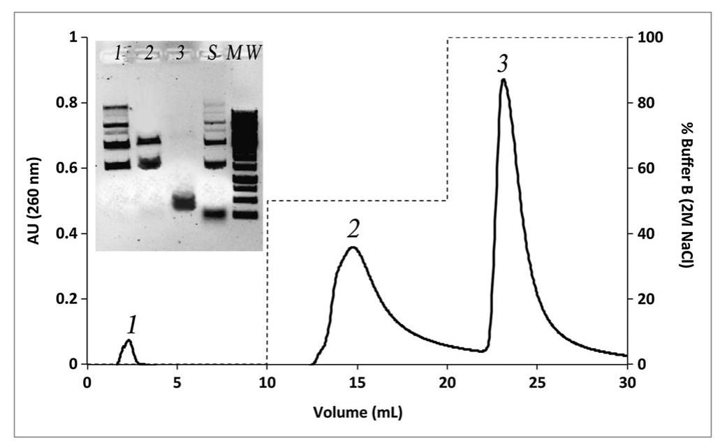 Chromatogram of an escherichia coli cell crude extract