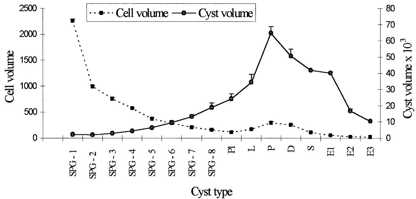 Cell and cyst volume (um?) in different cyst types (mean