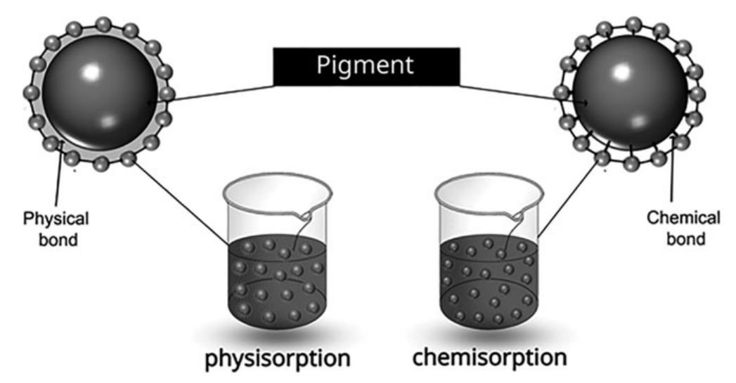 (PDF) Characteristics of pigments, modification, and their functionalities