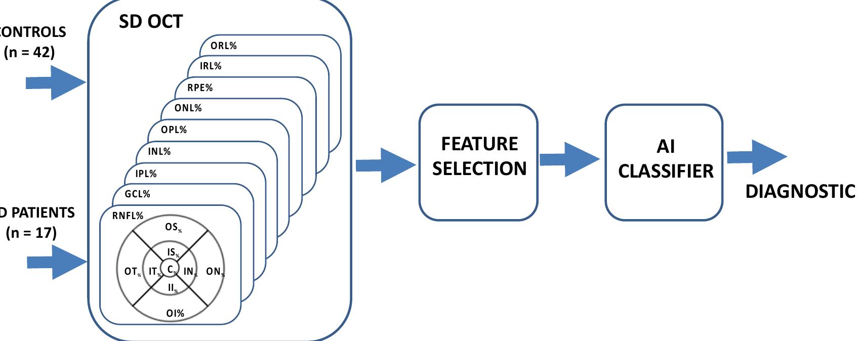 General block diagram. rnfl: retinal nerve fiber layer, gcl: