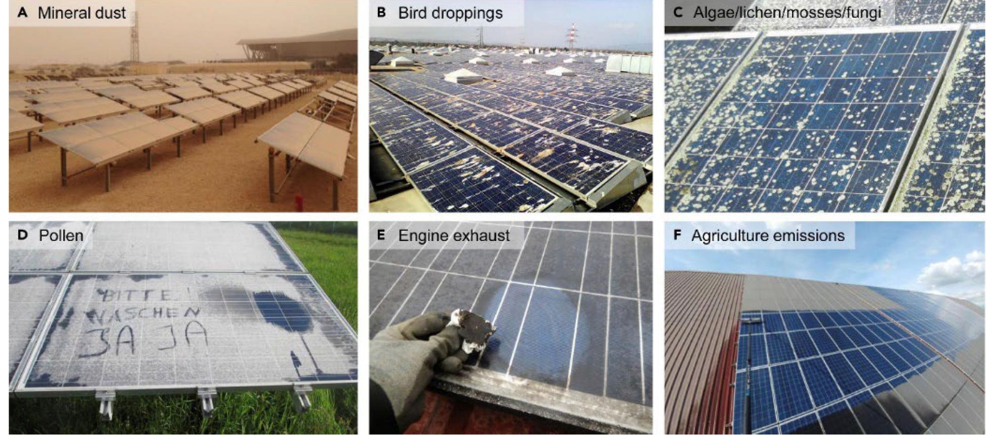 Examples of soiling: overview of different soiling types