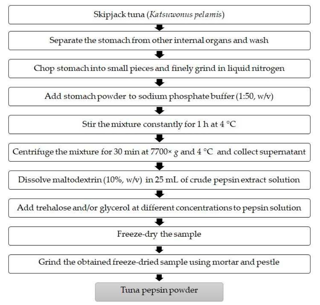 A flow chart of crude tuna pepsin powder production process.