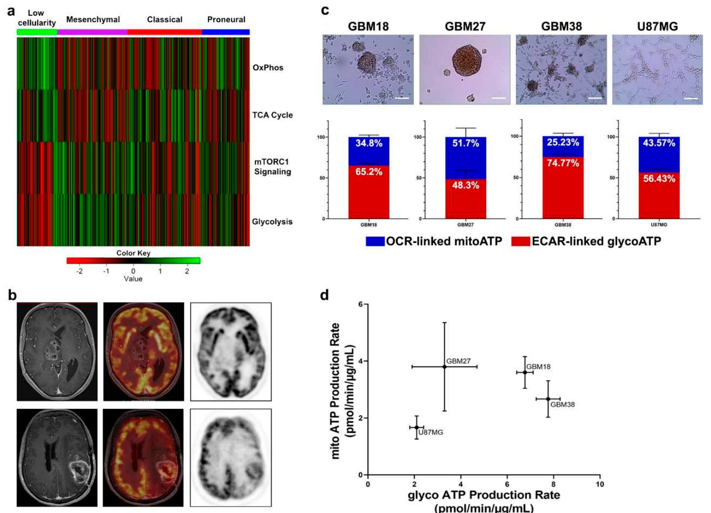 Igure 1. (a) heatmap of the scaled enrichment score (es)