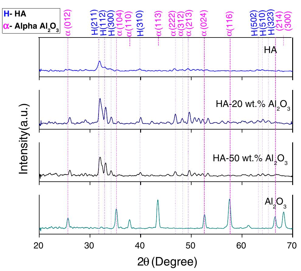 Xrd pattern of pulsed laser processed coatings.