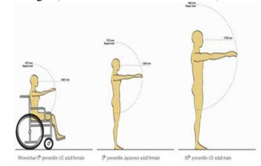(PDF) The impact of anthropometrics on the functional design of office ...