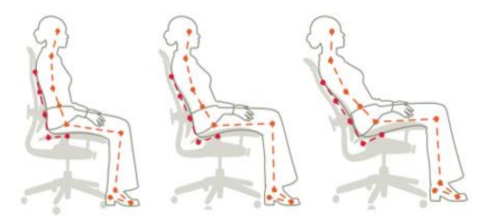 (PDF) The impact of anthropometrics on the functional design of office ...