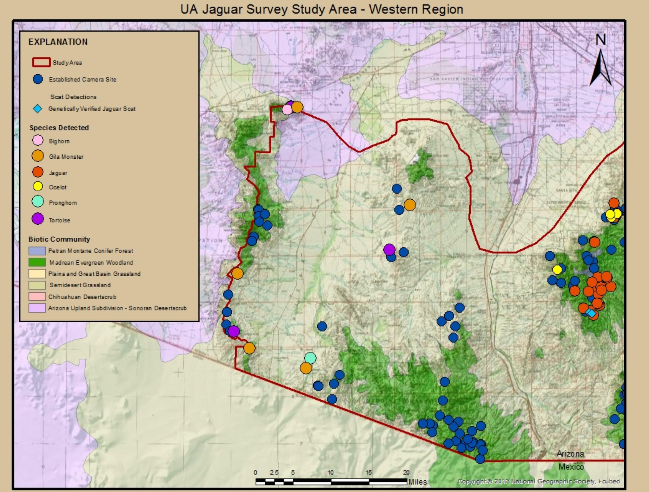 A. map showing jaguar survey and monitoring western study