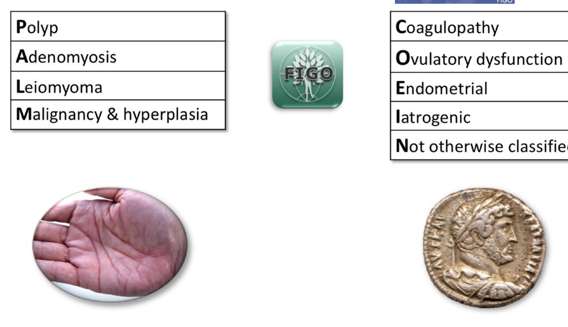 Figoaub system 2. palm-coein system for classification of