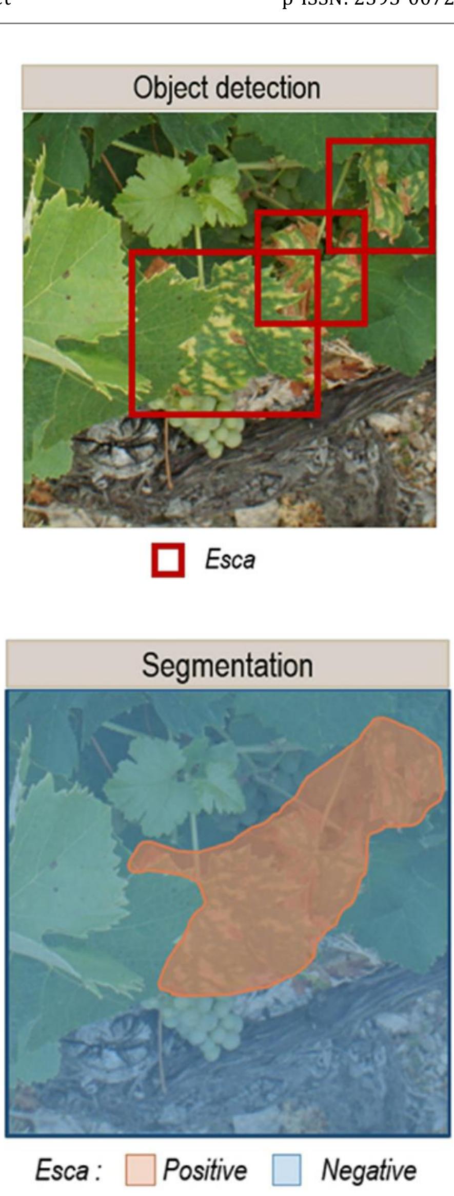 Convolutional neural networks for the automatic
