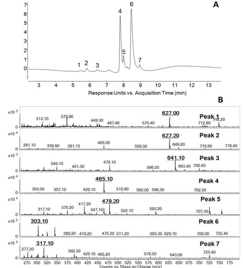 Uv chromatogram (at 370 nm) of shallot skin extract with