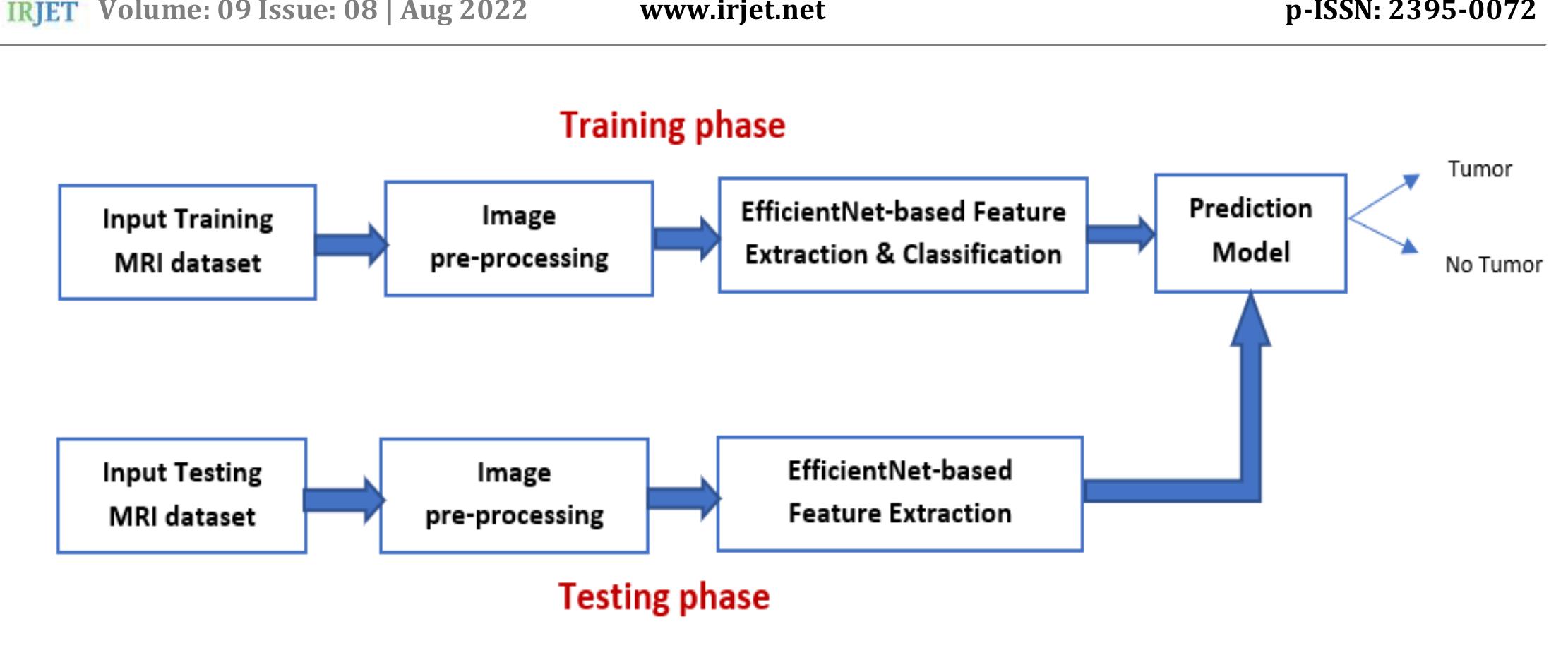 Figure 1 - Brain Tumor Classification using EfficientNet