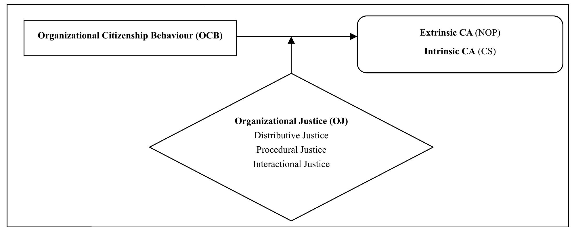Conceptual framework of the study