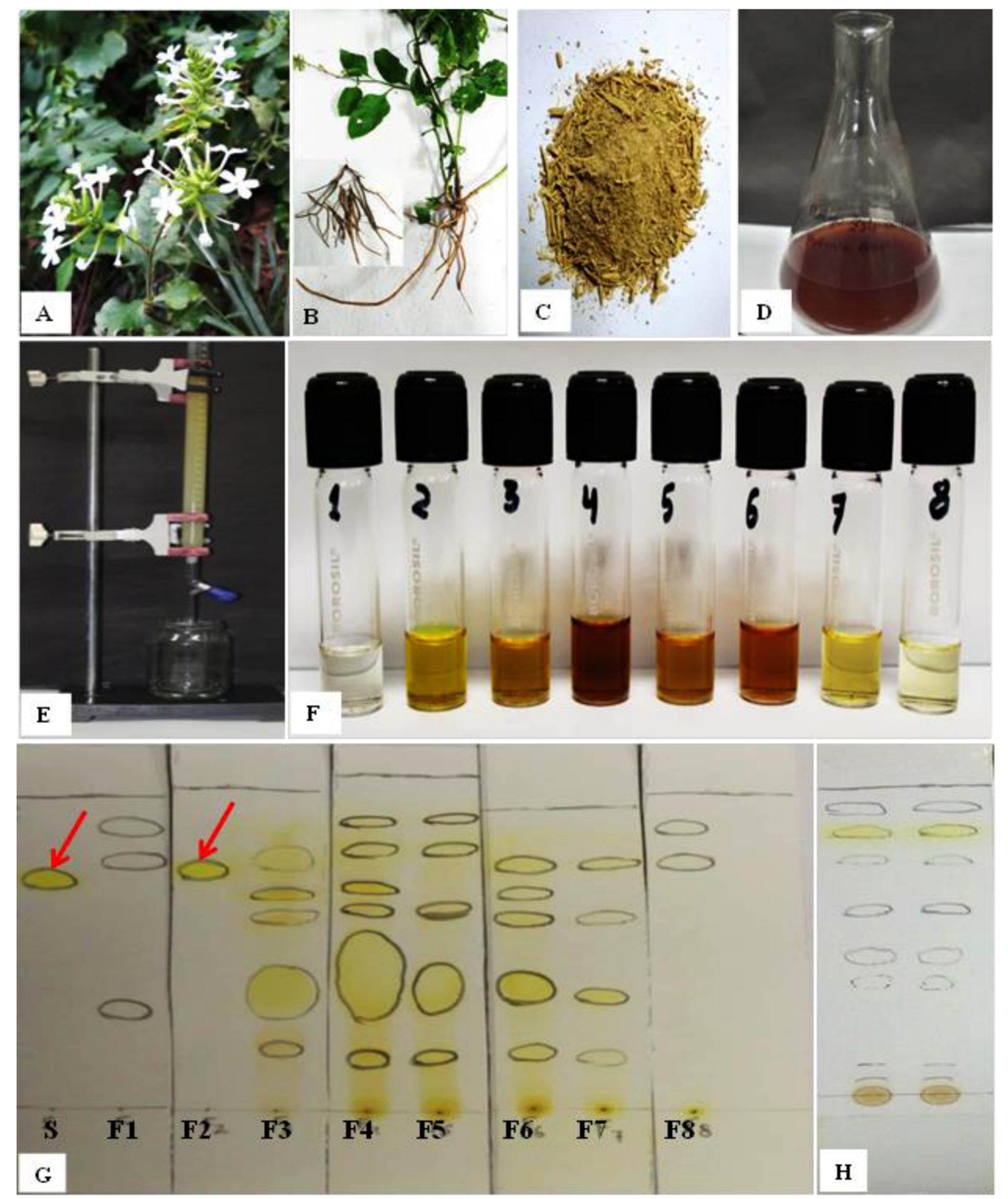 A-g. isolation of bioactive compounds from methanolic