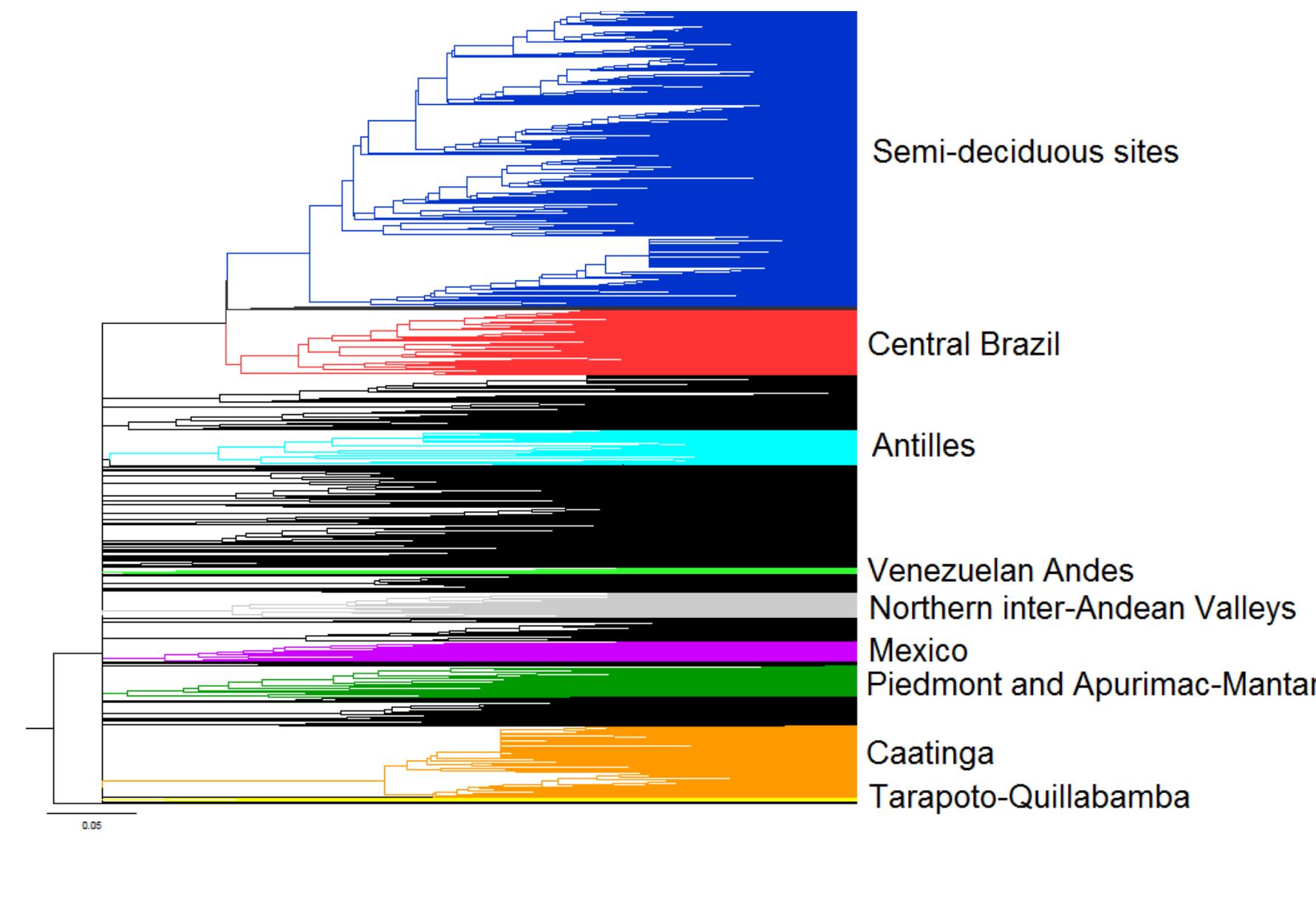 Figure 1 - Plant diversity patterns in neotropical dry