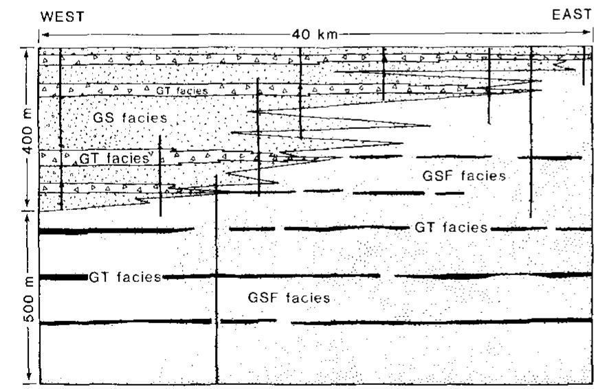 Interpretive cross-section of the central cagayan basin