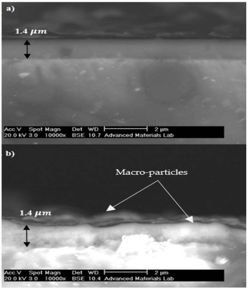 Sem images of the cross-sections of (a) crn-coated layer and