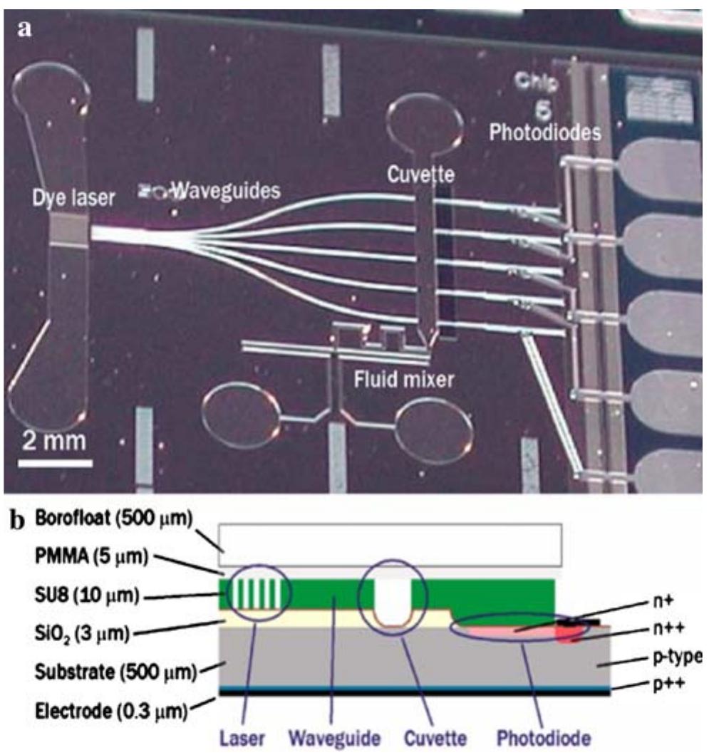 Lab-on-a-chip system with integrated optical transducers. a