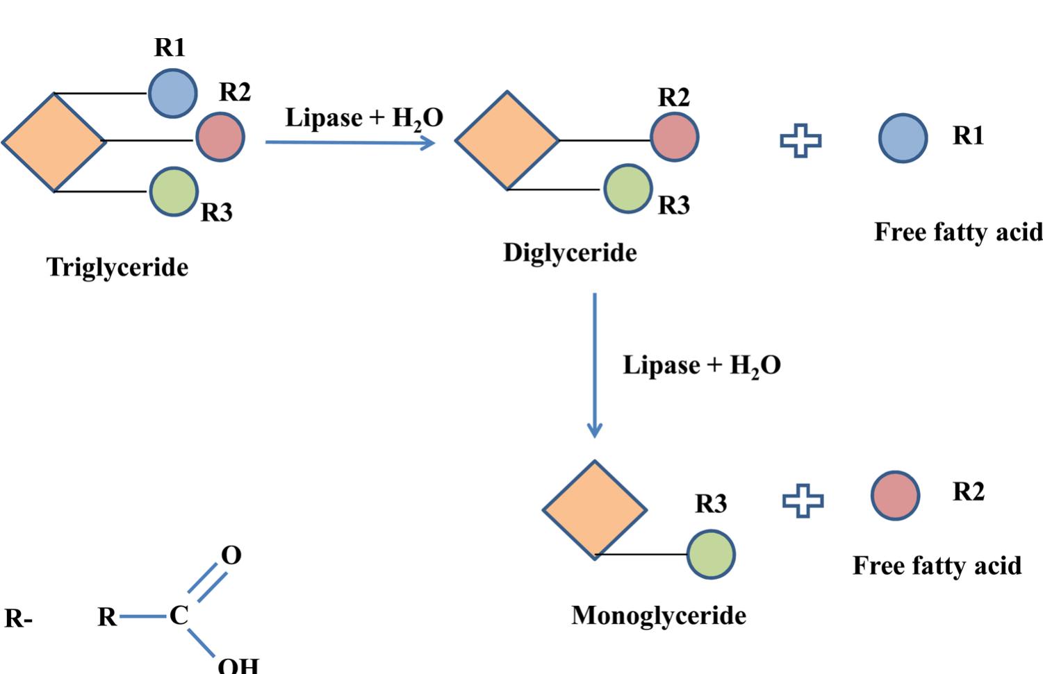 Mechanism of action of glucose oxidase on glucose unit. fig.