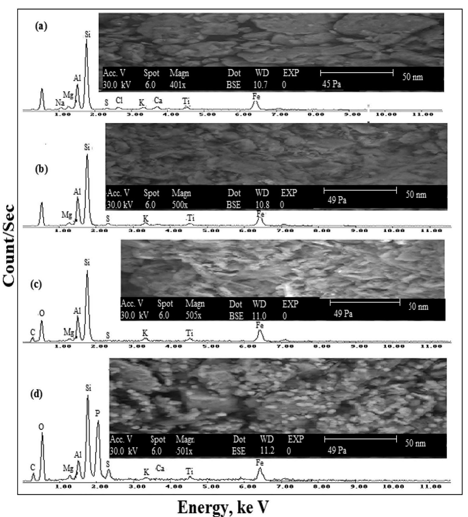 The scanning electron microscope and the corresponding edx