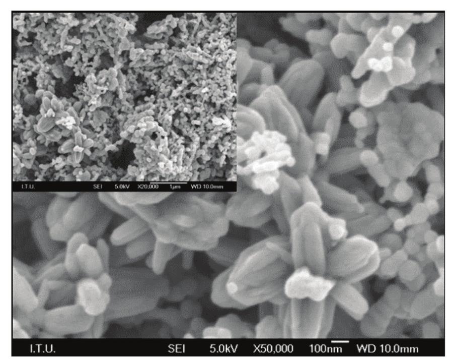 Sem images of nanopowder zno particles produced at 550°c is