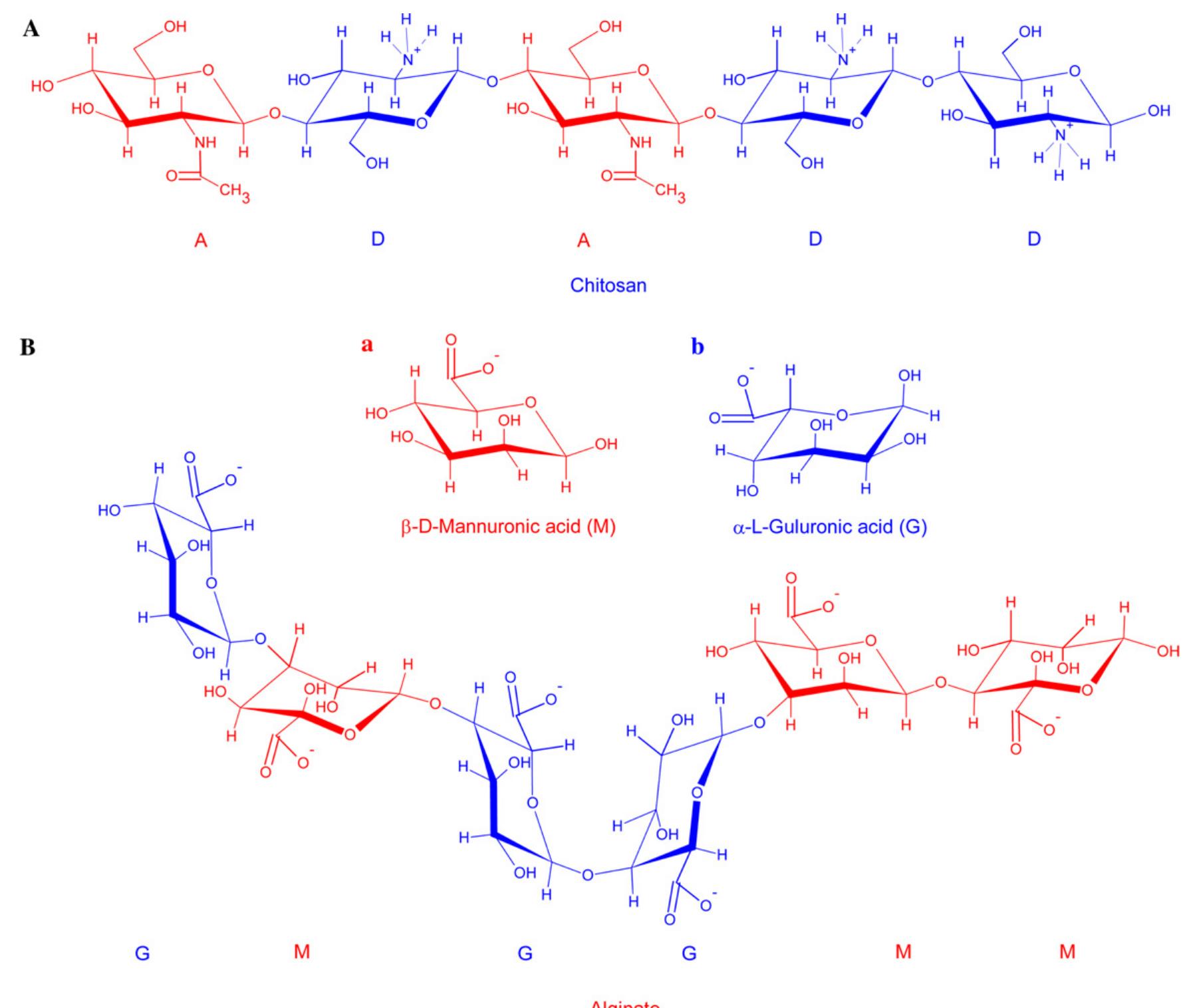 Chemical structures of (a) chitosan and (b) alginate. chitin