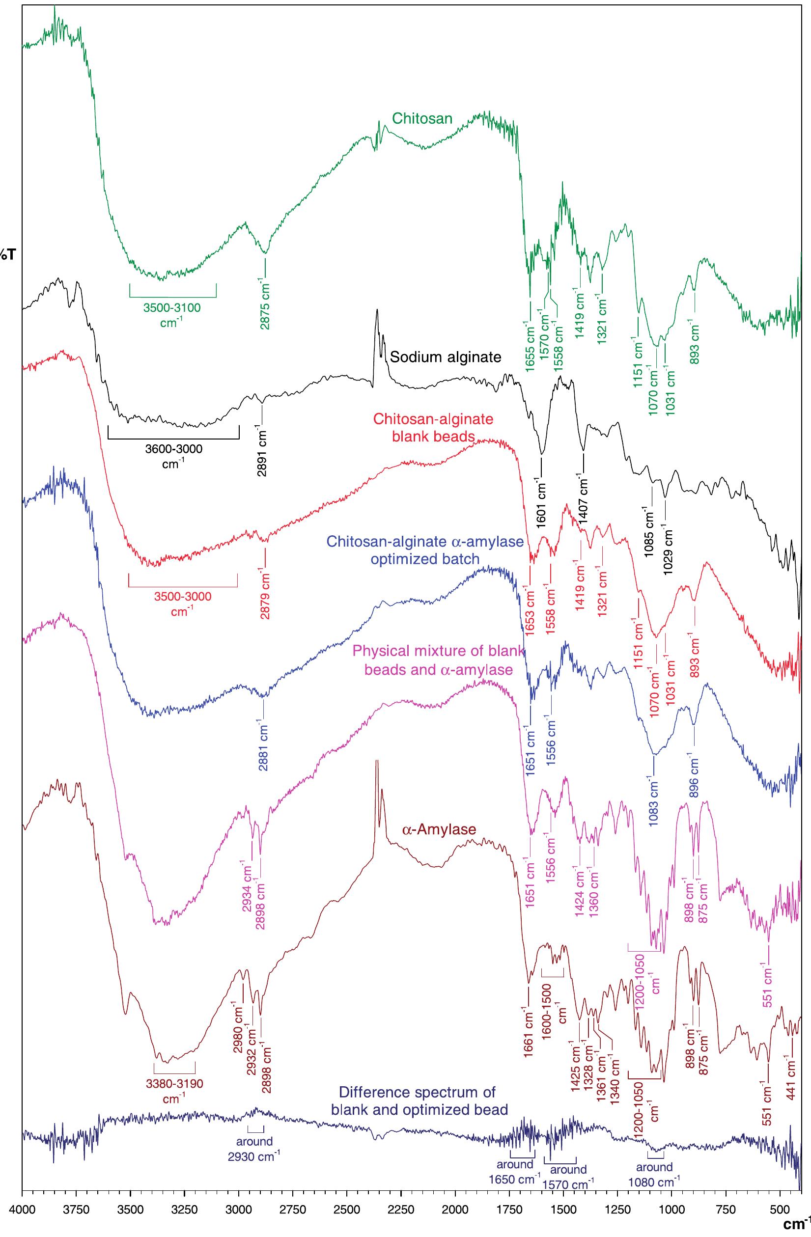 The ftir spectra of chitosan, sodium alginate,
