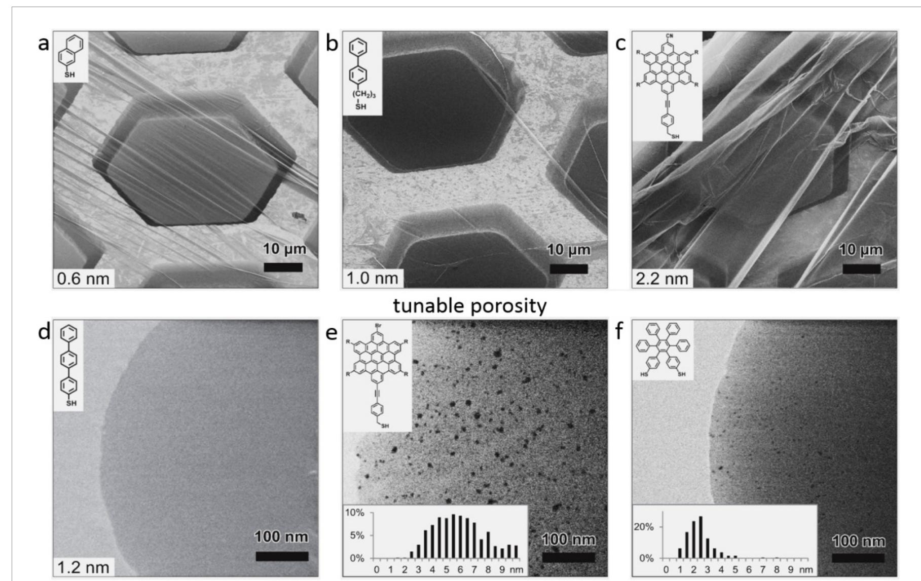 I.6. helium ion microscope (him) images of free-standing