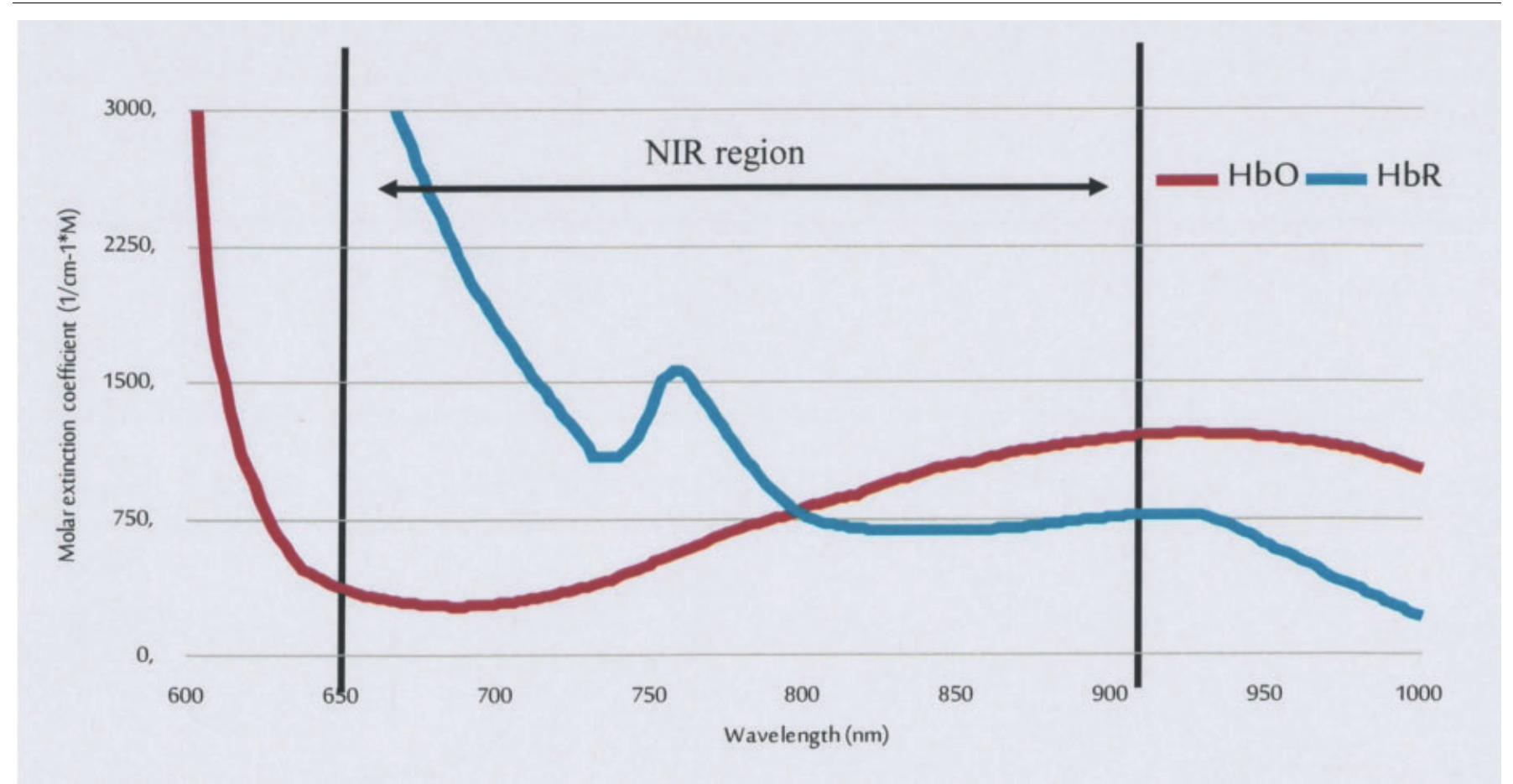 ‘ig.2. absorption spectra of hemoglobin (oxygenated - hbo,