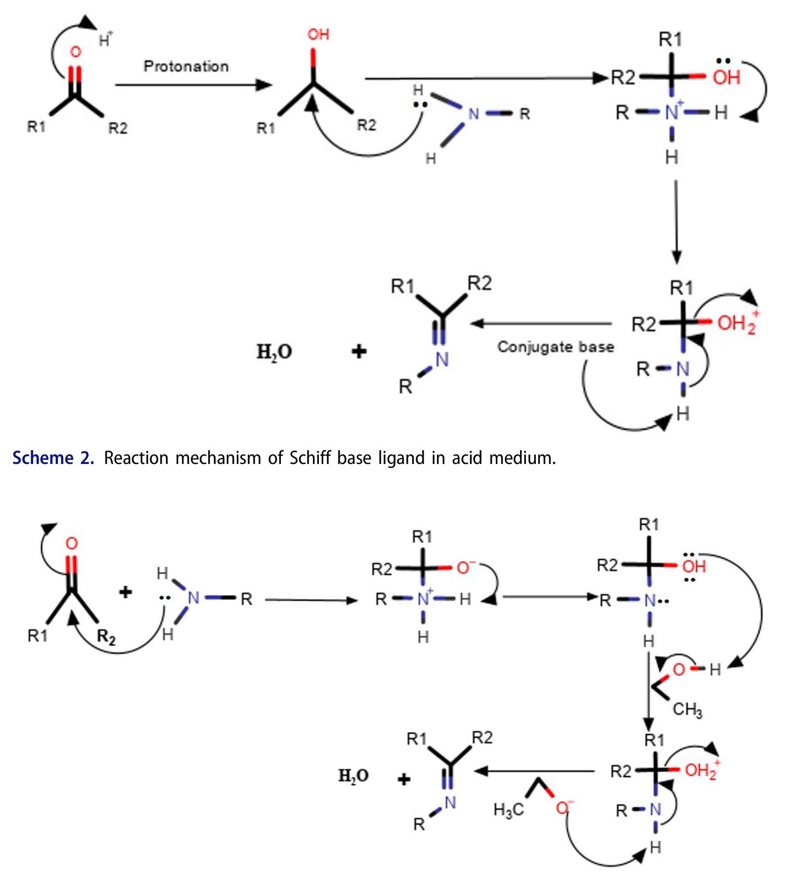 Reaction mechanism of schiff base ligand in basic medium.