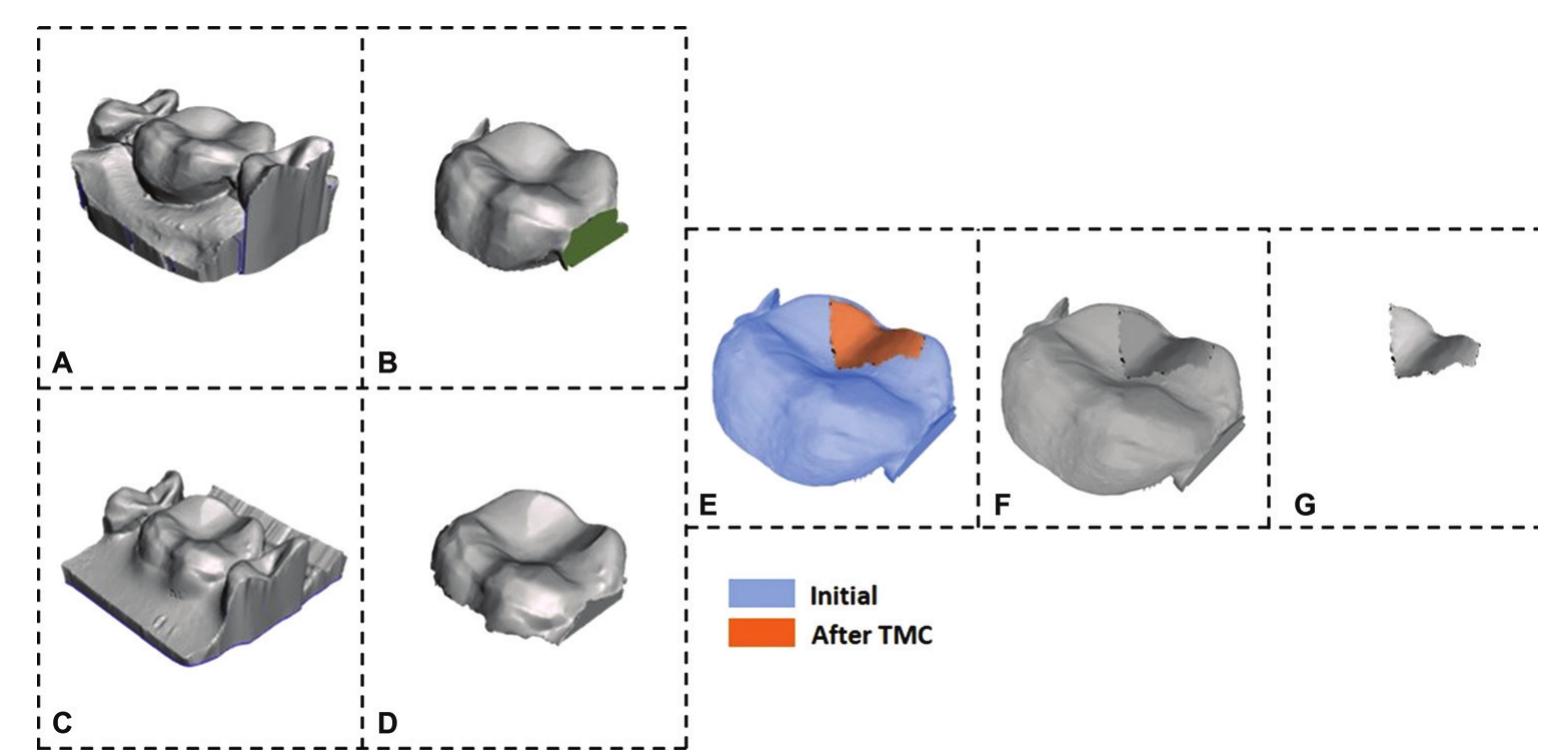 Figure 1 - from Surface Properties and Wear Resistance of