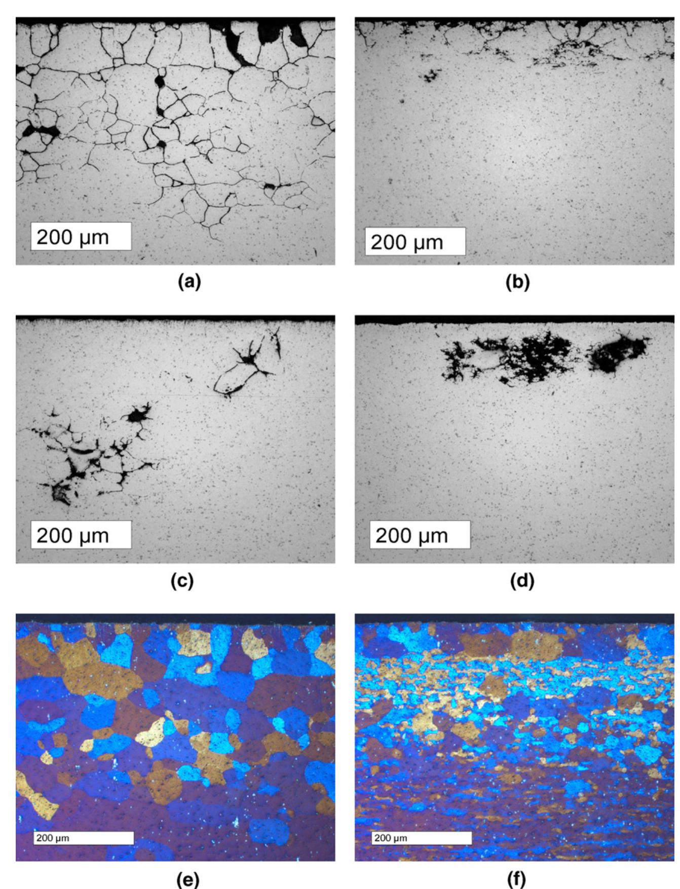 Cross sectional images of corrosion tested samples (a—d) and