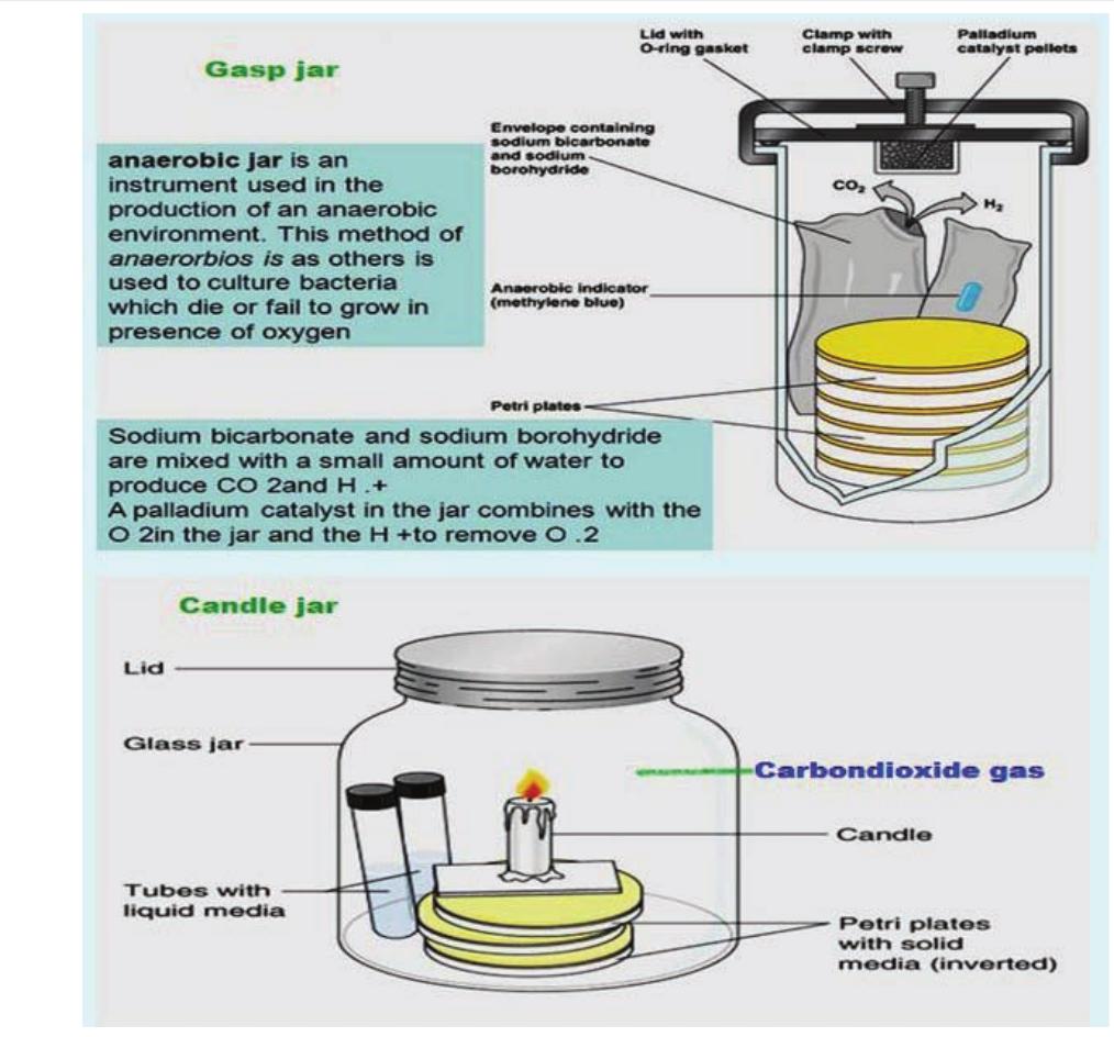 Creating anaerobic envitonment in culturing of bacteria by