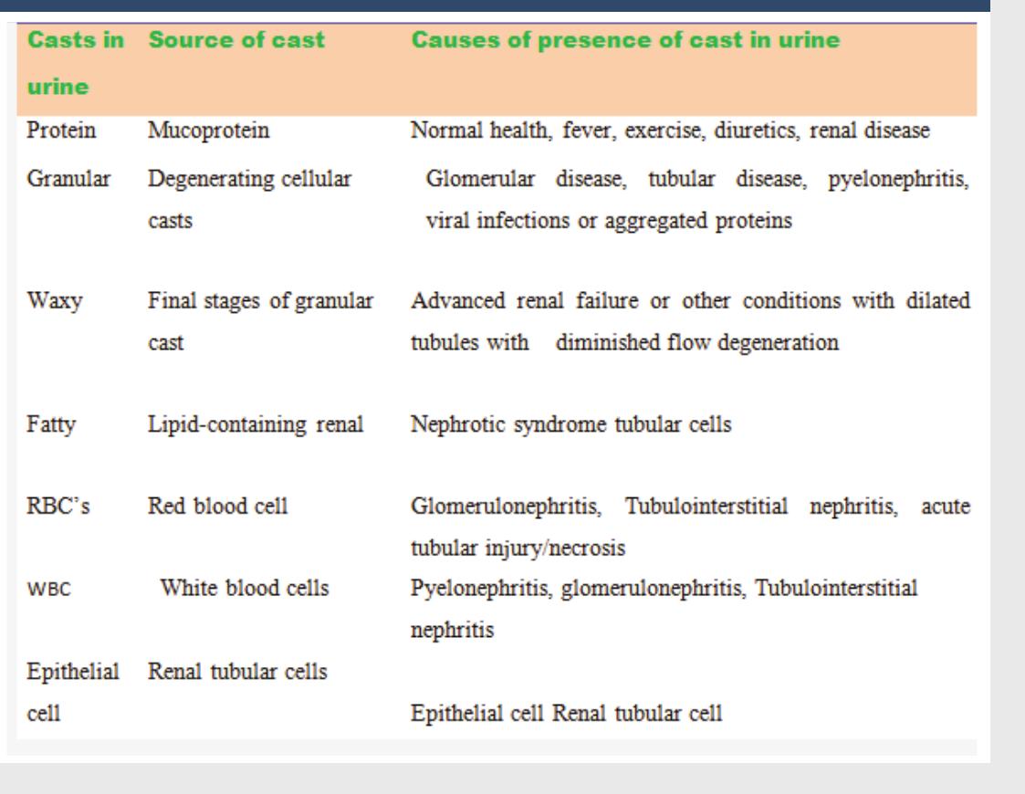 Types and characteristic of urinary cast [19].