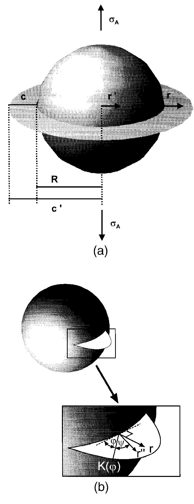 Schematic representation of (a) circumferential and (b)