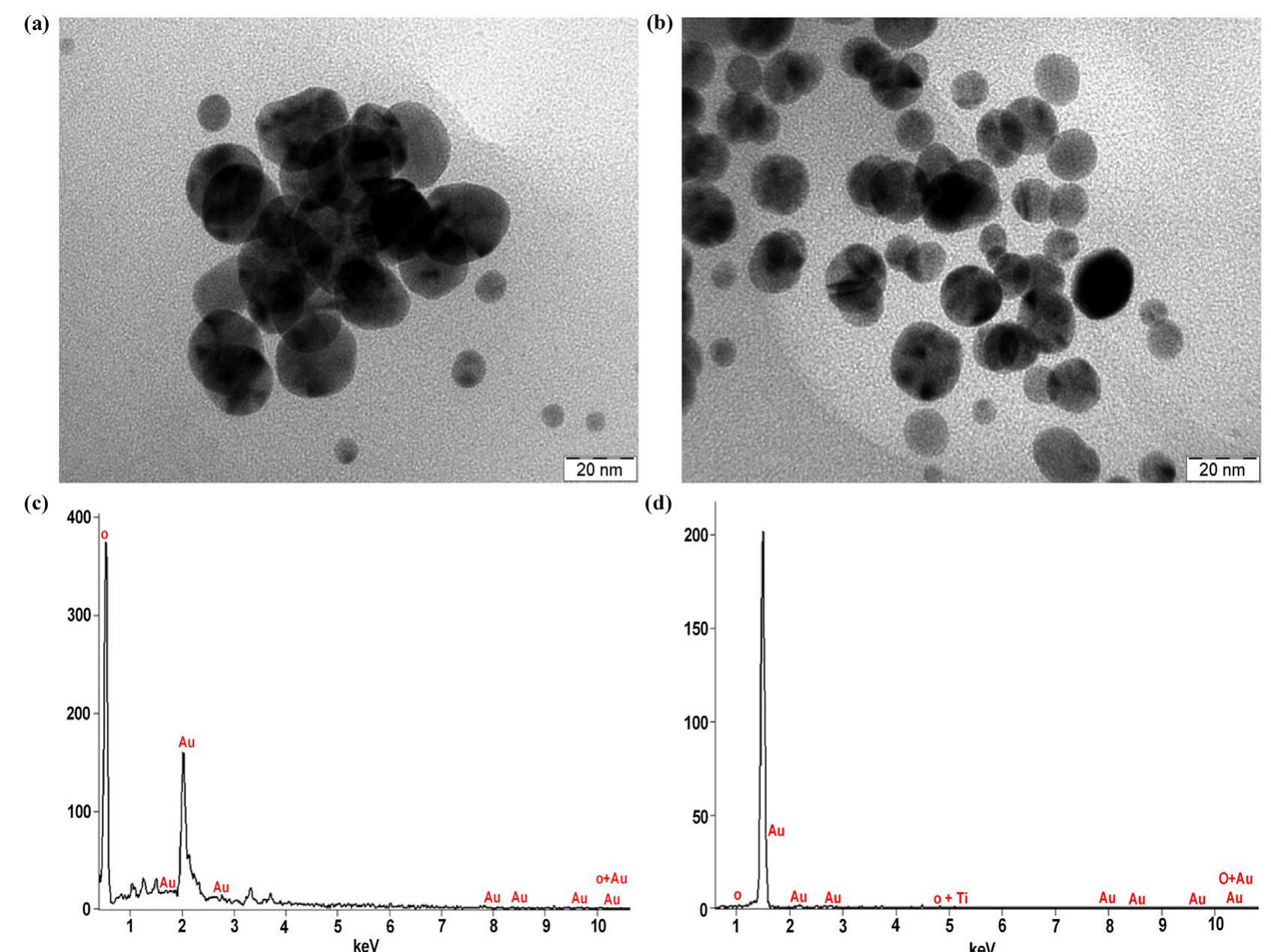 Tem images showing spherical morphology and size of the (a)