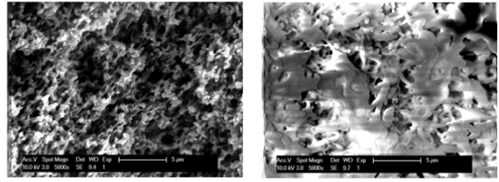Sem pictures of the cross section surface of the gvsp22205